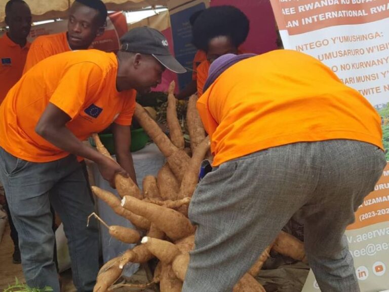 Modern farming methods prove key to food security and high yields in ...